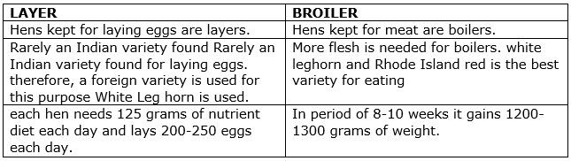 Answer the following questions. What are the differences between layer ... Answer the following questions. What are the differences between layer ...