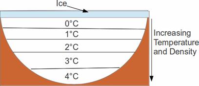 Explain the following: What is the role of anomalous behaviour of water in preserving aquatic ...