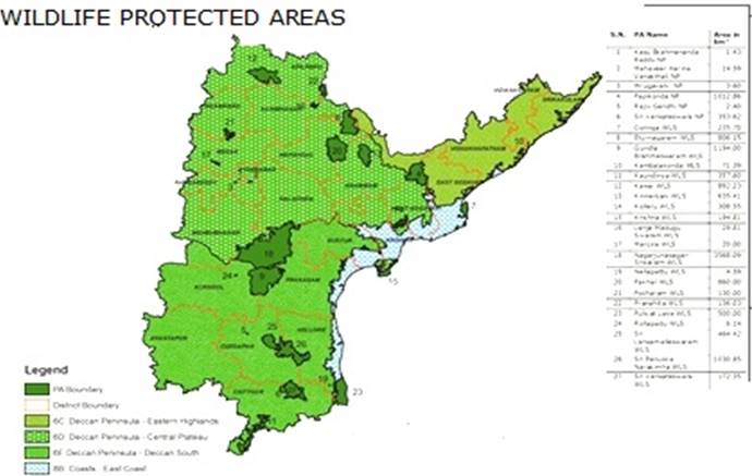 Where do you find most of the biodiversity on the earth? Draw AP map ...